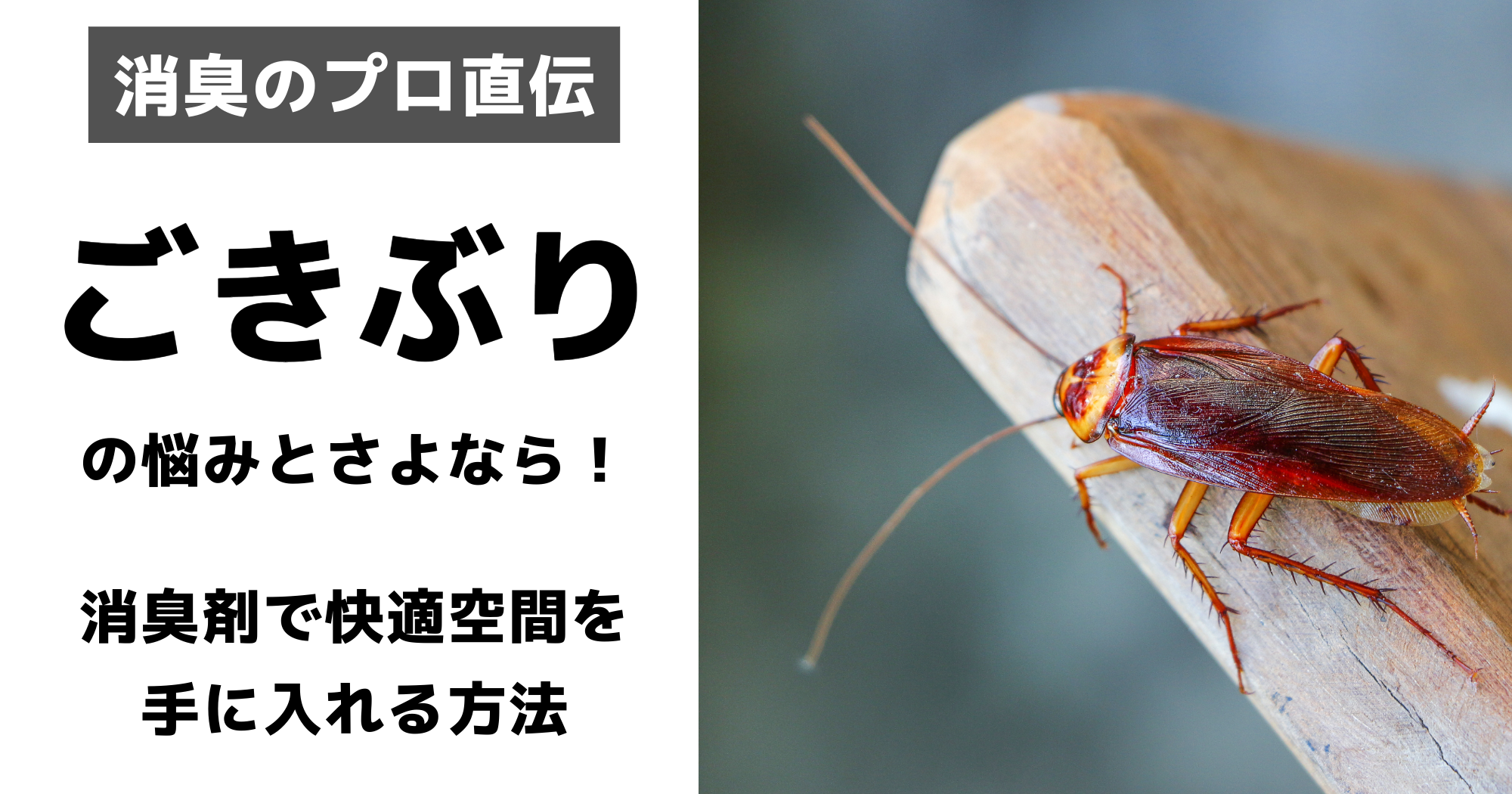 ごきぶりの悩みとさよなら！消臭剤で快適空間を手に入れる方法｜消臭剤の専門メーカー ハル・インダストリ