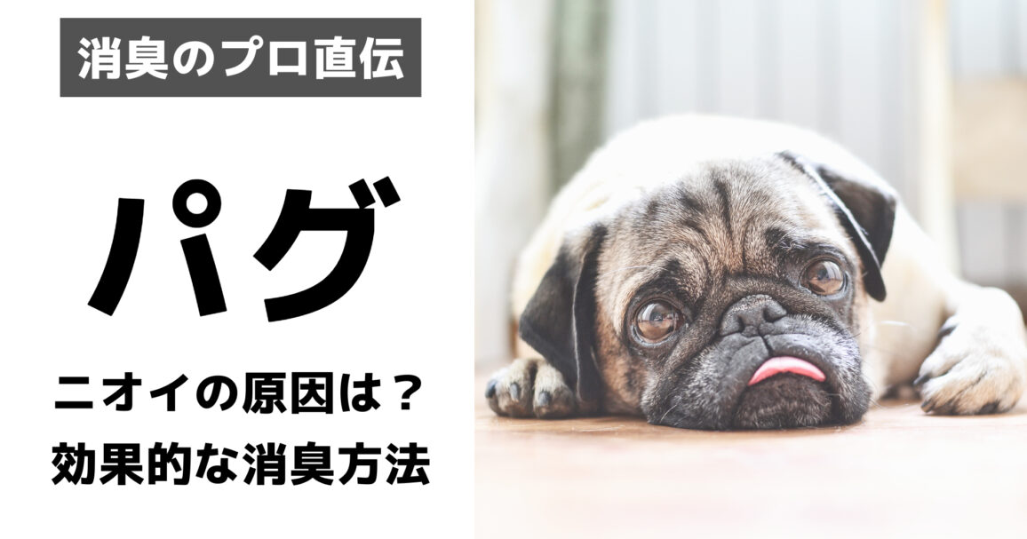愛しのパグとの生活をもっと快適に！ニオイの原因と消臭剤で解決｜消臭剤の専門メーカー ハル・インダストリ
